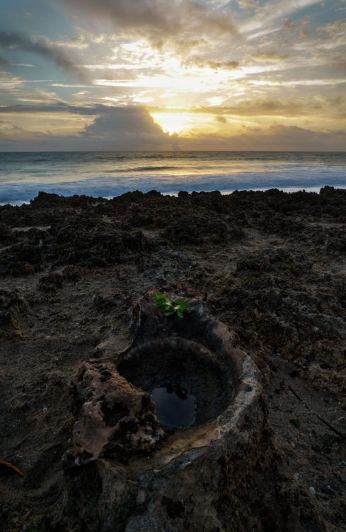 Florida - Sunrise State