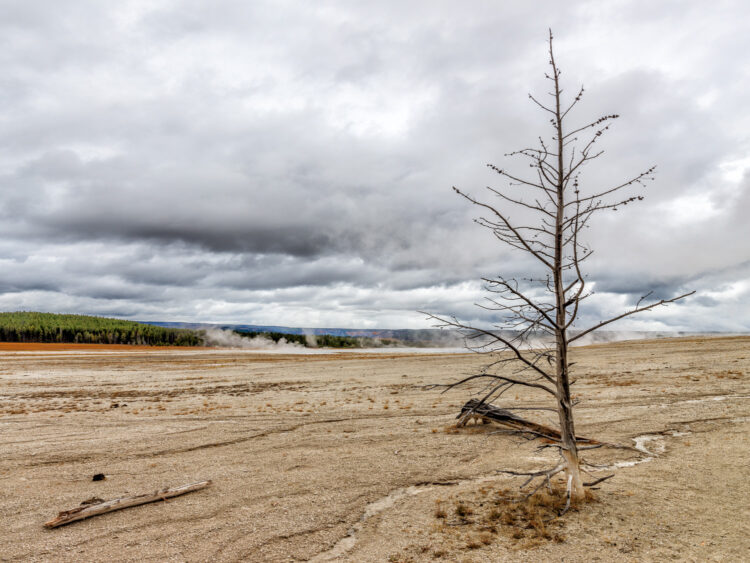 Desolate Landscape - T. Kahler Photography